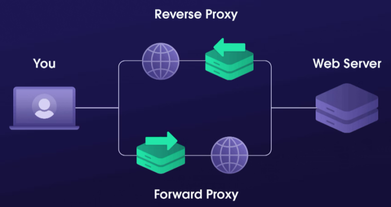 F5 LTM | Still Confused Between Forward and Reverse Proxy