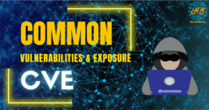 Difference Between CWE and CVE