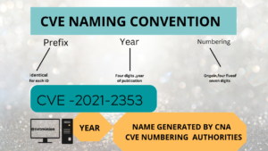 Difference Between CWE and CVE