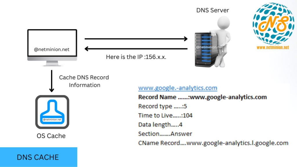 Domain Name System (DNS) - NetMinion Solutions